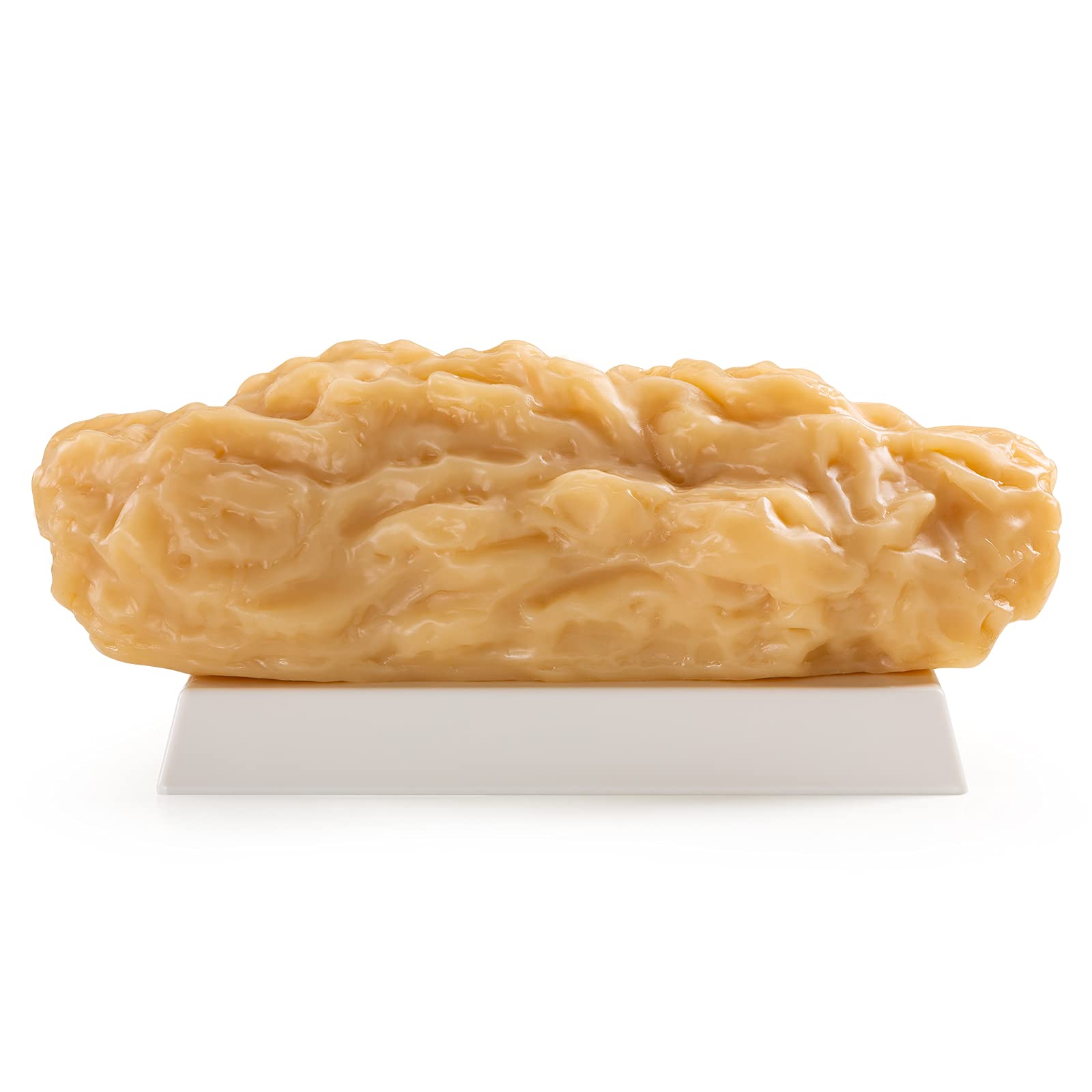 Mua Ultrassist Upgraded Human Body Fat Model, 5 lbs Fat Replica ...