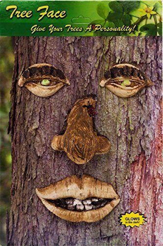 Outdoor Tree Ornaments: Tree Faces