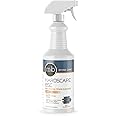 Amazon.com: Hardscape BSC Headstone Cleaner for Grave Cleaning - Ideal ...