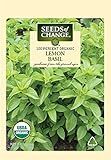 Lemon basil - How to grow & care