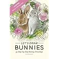 Let's draw Bunnies!: 35 Step-by-Step instructional Bunny Drawings ...