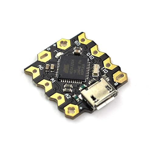 Beetle - The Smallest Microcontroller in Oman | Whizz Single Board Computers