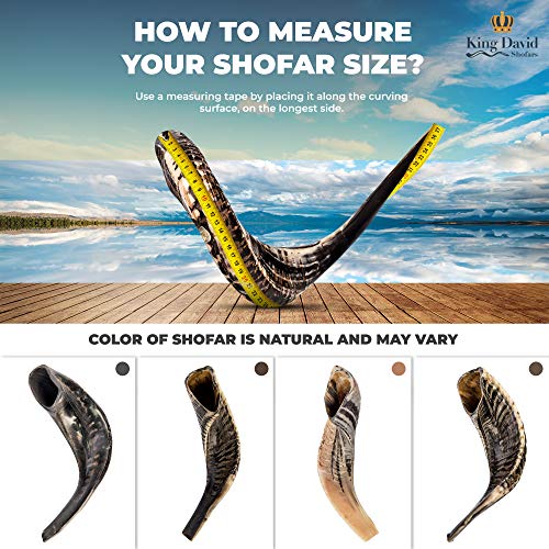 Shofar Horn Instrument - RAM Shofar Angels Musical Instrument - Horn ...