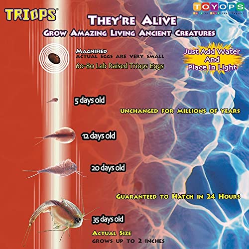 Triassic TRIOPS - Triops Hanging Kit, Contains Eggs, Food, Instructions ...