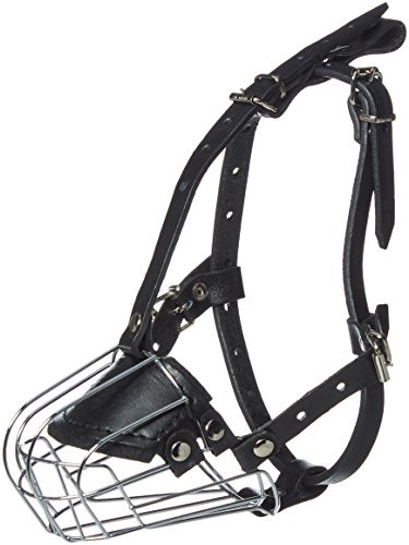 best basket muzzles reviews - peareason7’s blog