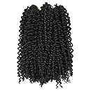 Amazon.com : Lady Miranda Pure Color Afro kinky Curly Braiding Hair Extensions Jerry Curl ...