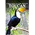 Amazon.com: Toucans and Other Birds (Animals That Live in the Rain ...