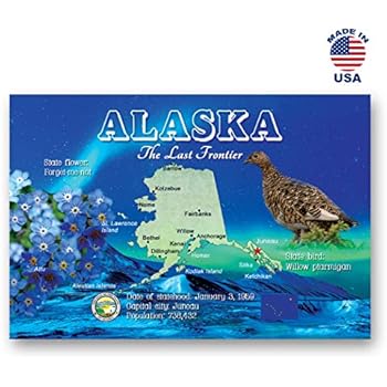 Amazon.com : ALASKA STATE FACTS postcard set of 20 identical postcards ...