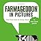 Farmageddon in Pictures: The True Cost of Cheap Meat – in bite-sized ...