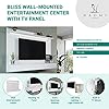 Naomi Home Bliss Modern Freestanding Wall Mounted Entertainment Center ...