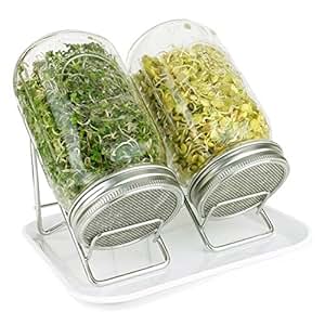 Amazon.com: Pure Convenience Deluxe Sprouting System - Pure Glass and ...
