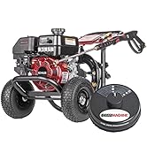 Amazon.com: Simpson Cleaning CM61248-S Clean Machine 3400 PSI Gas ...