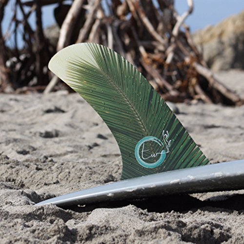 Surfboards Dorsal Modified Hatchet Pivot Fiberglass Longboard Surfboard ...