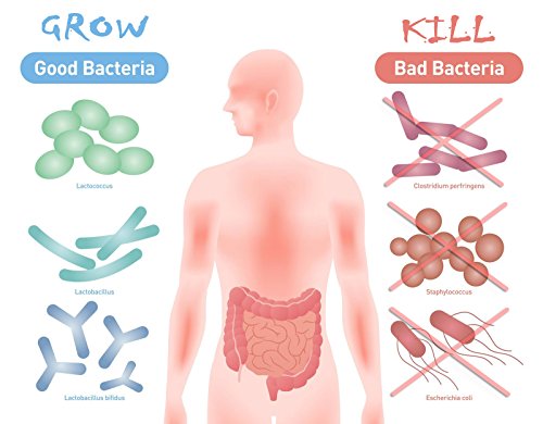 How To Slow Down An Overactive Immune System – Pro Health Link – Health ...