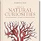 Seba: Cabinet of Natural Curiosities: Albertus Seba, Rainer Willmann ...