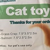 Amazon.com : Babula 2 Piece Cat Toys, Catnip Simulation Plush Fish Toy ...