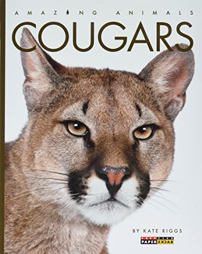 Cougars (Amazing Animals): Riggs, Kate: 9781682770627: Amazon.com: Books