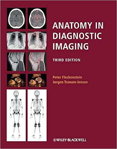 Amazon imaging - elegantlasopa