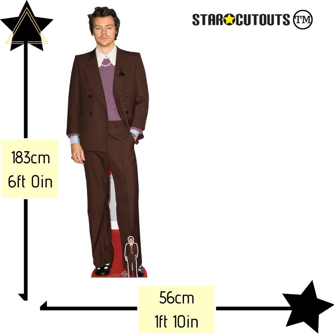 STAR CUTOUTS CS836 Harry Singer Songwriter Cardboard Cutout with Free ...