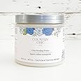 Clear Bonding Primer - Chalk Style Furniture Paint Surface Prep Clear ...