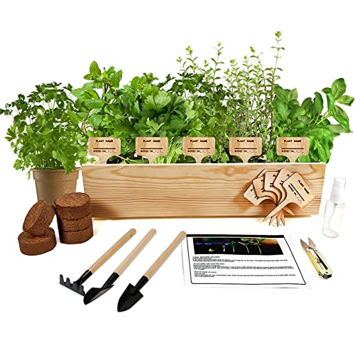 Organic Indoor Herb Garden Kit Organic Indoor Herb Garden Starter Kit