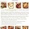 The Visual Food Lover's Guide: Includes essential information on how to ...