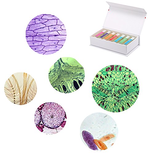 Prepared Microscope Slides Set of Animals Insects Plants for Kids ...
