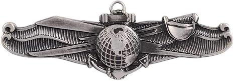 Amazon.com: Navy Information Dominance Warfare Enlisted Badge: Clothing