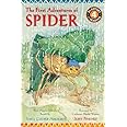 Amazon.com: The First Adventures of Spider: West African Folktales ...