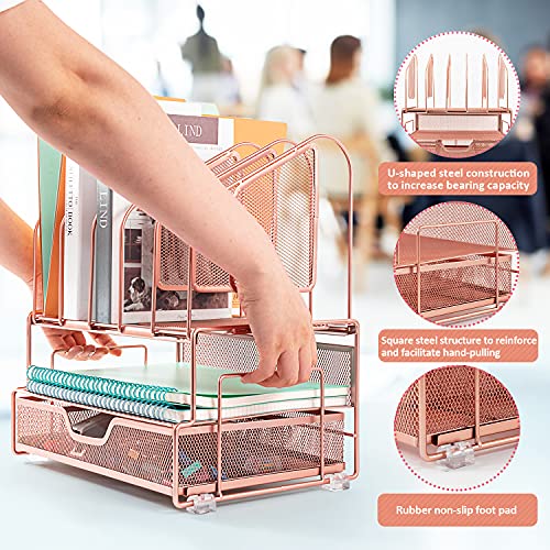 Beiz Rose Gold Desk Organizer with Storage Drawer, 2 Paper Tray & 5 ...