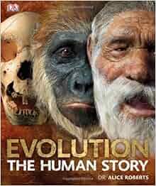Amazon.com: Evolution: The Human Story (0690472086734): DK: Books