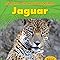 Amazon.com: Jaguar (A Day in the Life: Rain Forest Animals ...