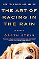 Racing in the Rain: My Life as a Dog: Garth Stein: 8580001060941 ...