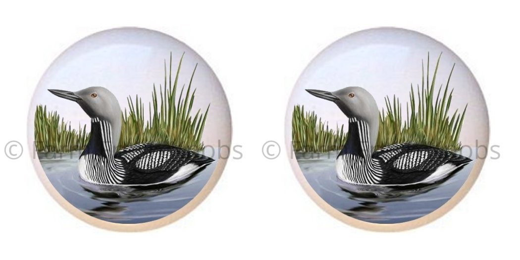 Amazon.com: SET OF 2 KNOBS - Loon - Loons - DECORATIVE Glossy CERAMIC ...