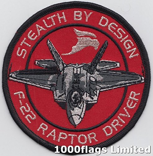 Buy Lockheed Martin F-22 Raptor Driver Stealth By Design Fighter Jet US ...