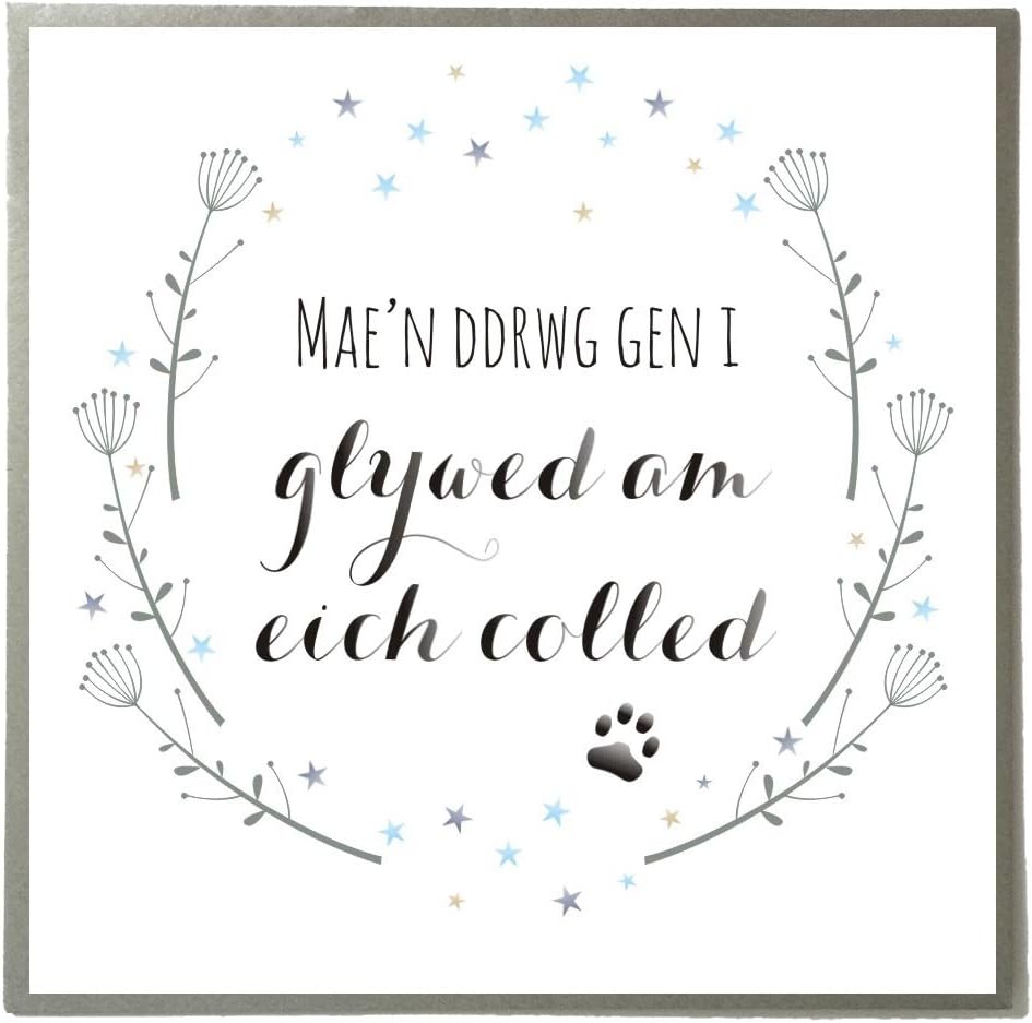 Claire Giles Quill”Sorry for The Loss of Your Pet” Sympathy Card – BigaMart