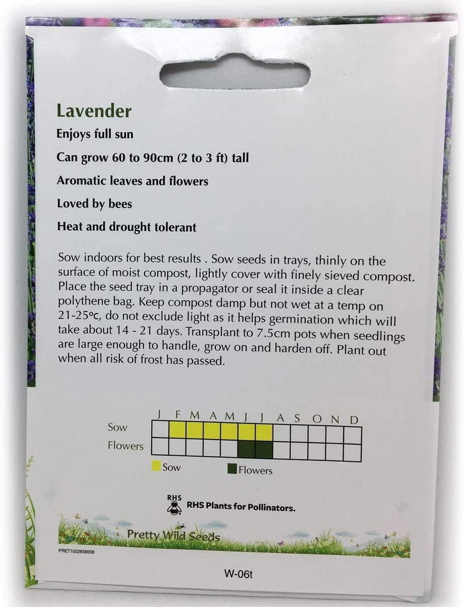Lavender Seed Packet Contains 1g Lavendula Angustifolia Hidcote Blue ...