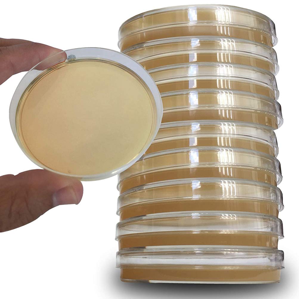 Vacuum Packaging iplusmile 10pcs Disposable Agar Plates Prepoured ...