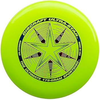 Amazon.com: NERF Sports Dude Perfect Flying Disc: Toys & Games