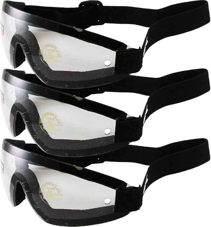 Amazon.com: Birdz Eyewear 3 Clear Skydive Sky Dive Diving Goggles ...