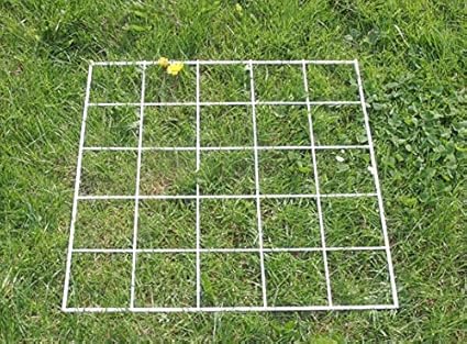 Quadrat Q2 from NHBS for surveying vegetation cover or invertebrates ...