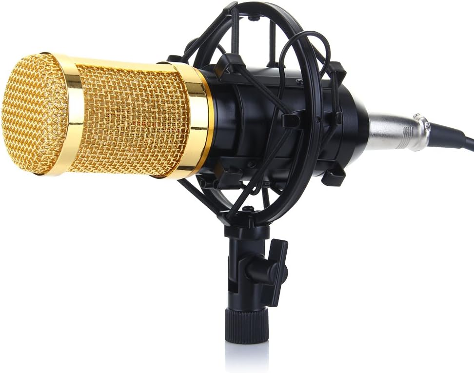FLOUREON New Condenser Microphone BM-800 Sound Studio Recording Dynamic ...