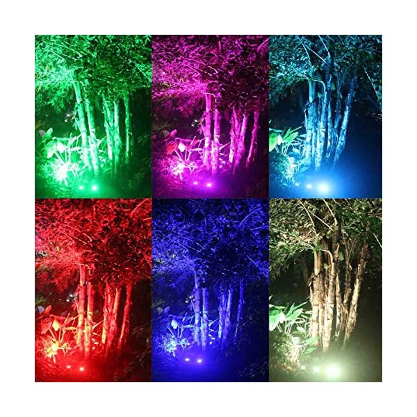 ZUCKEO Landscape Lighting 6W RGB Remote Control LED Landscape Lights ...