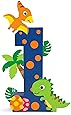 Amazon.com: Dinosaur Number 1 Sign Baby First Birthday Cake Smash Photo ...