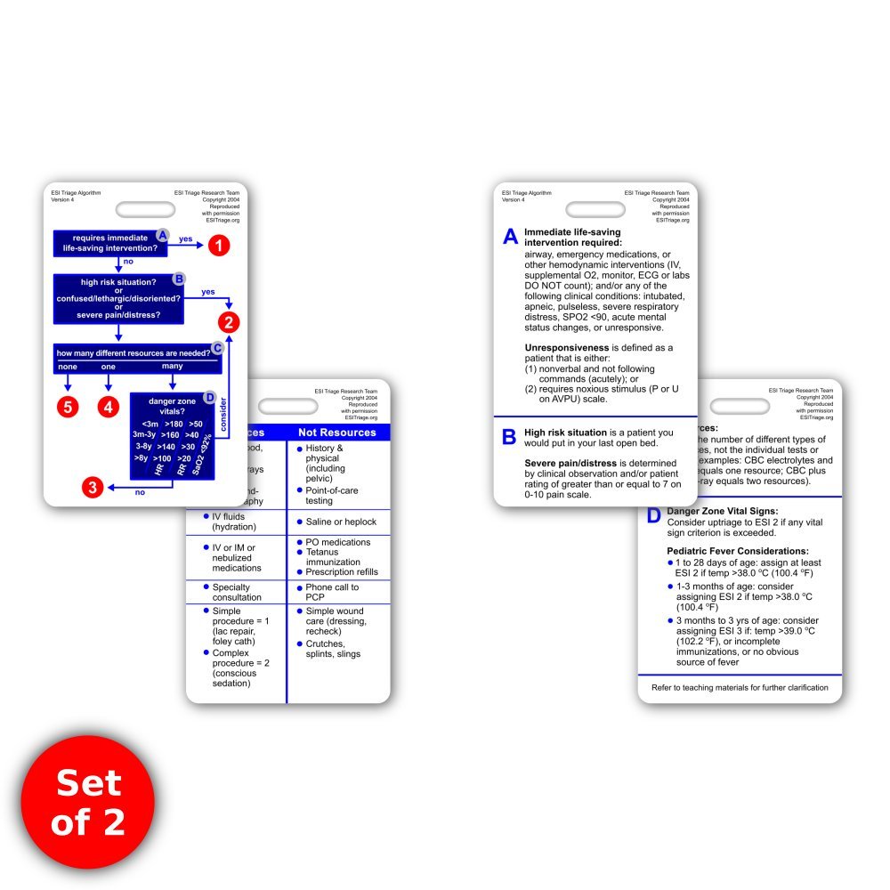 ESI Triage - Vertical Badge Reference Cards - 2 Card Set on Galleon ...