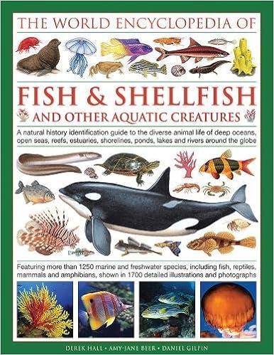 The Best Books About Fish: Reviewed and Ranked - A-Z Animals