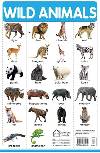 Wild Animals - My First Early Learning Wall Chart: For Preschool ...