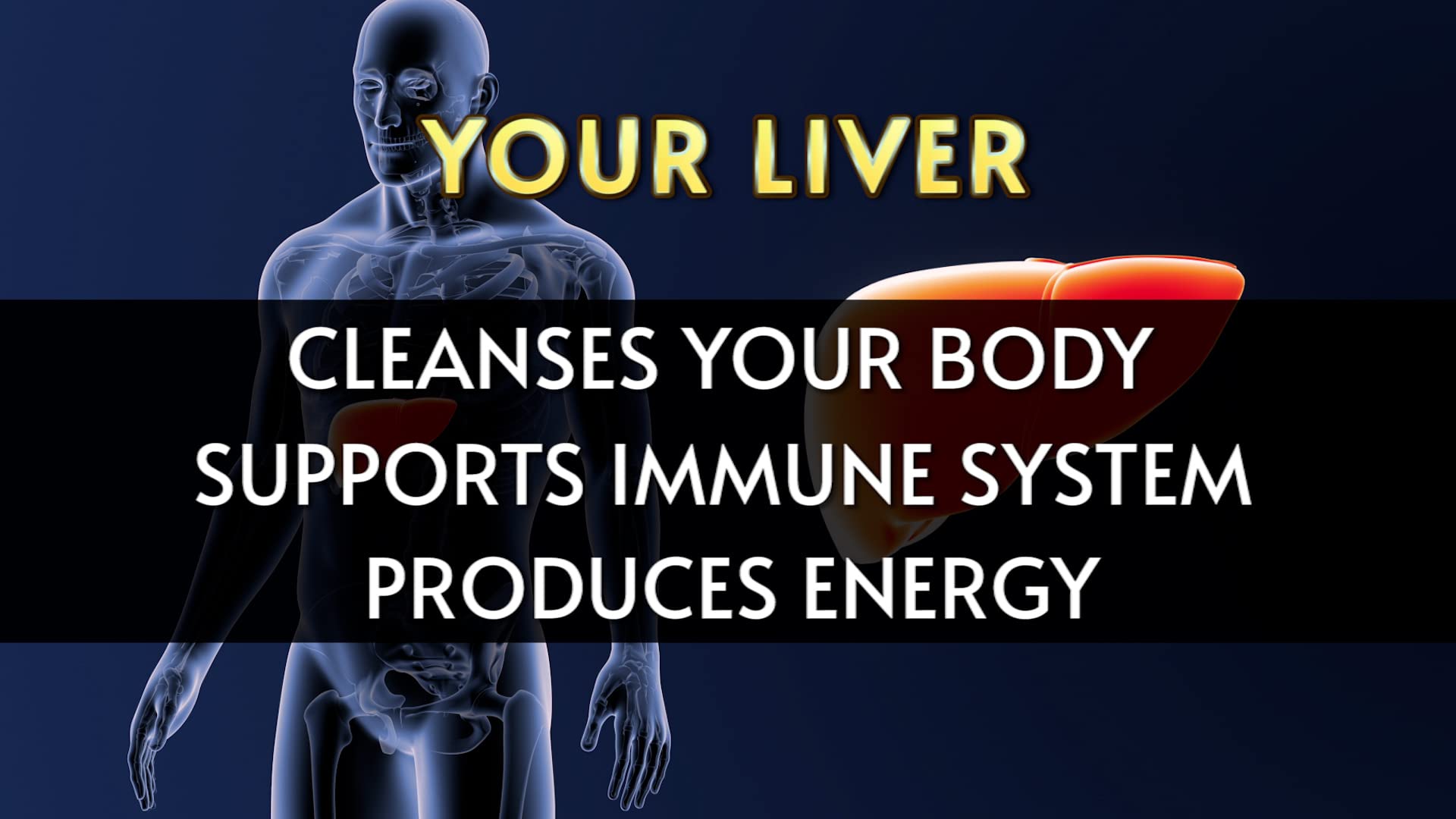 Mua LIVERITE Liver Aid 2-Pack 120 Tablets (Total 240ct) Liver Support ...