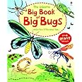 Big Book Of Big Bugs: usborne-publishing-ltd: 9780794533007: Amazon.com ...