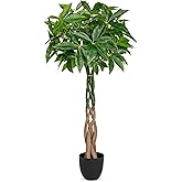 Amazon.com: 3FT Fake Money Tree Plant Indoor Potted Plants Artificial ...